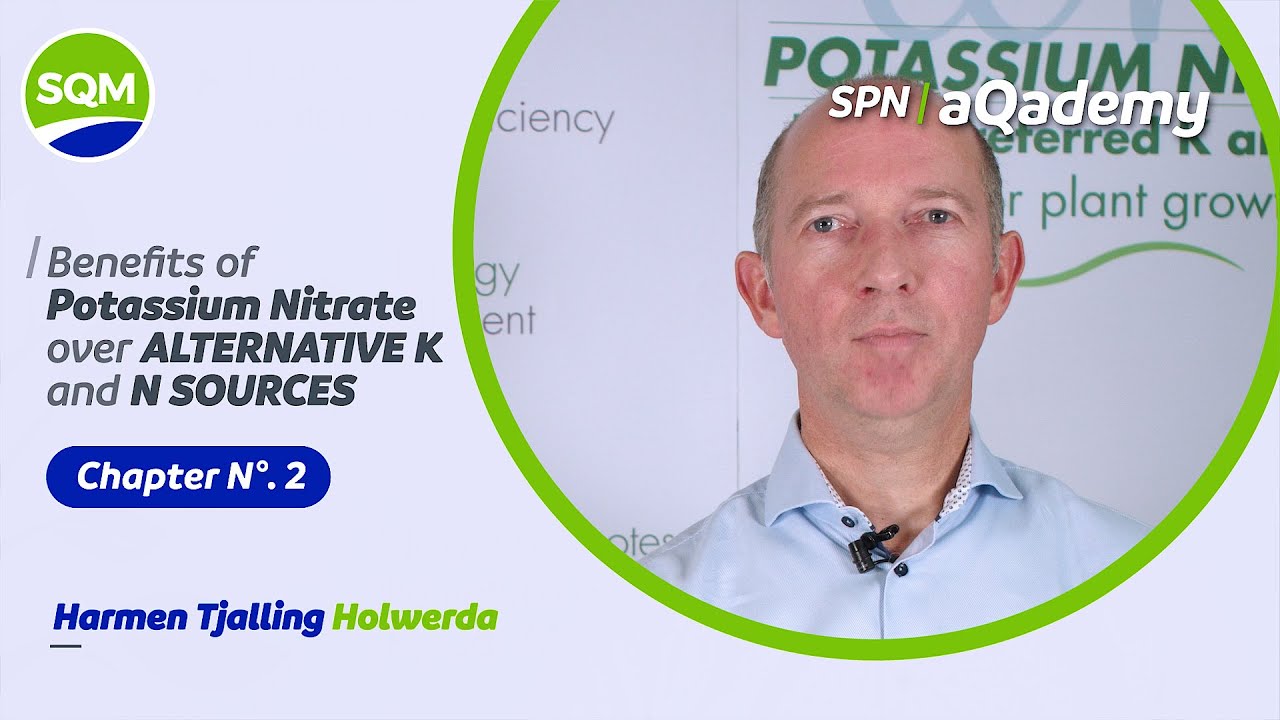 SQM Nutrition - CHAPTER 02 - Benefits of Potassium Nitrate over ...