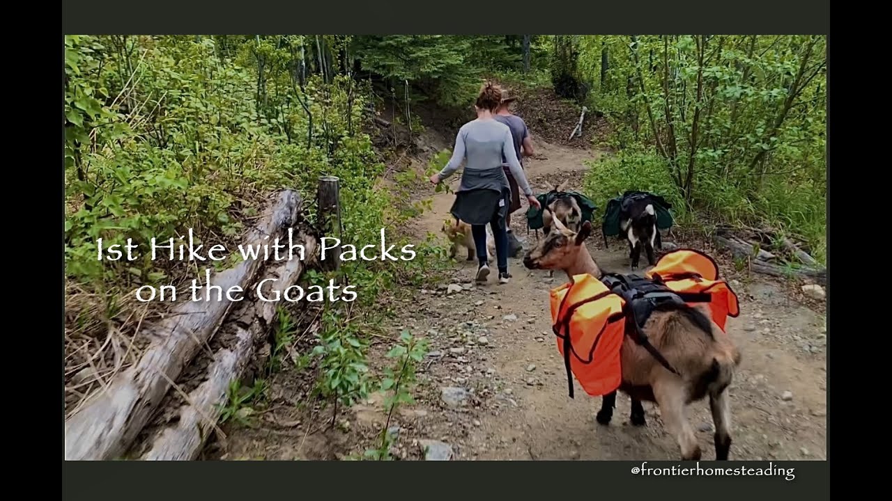 1st Hike with Packs on the Goats - YouTube