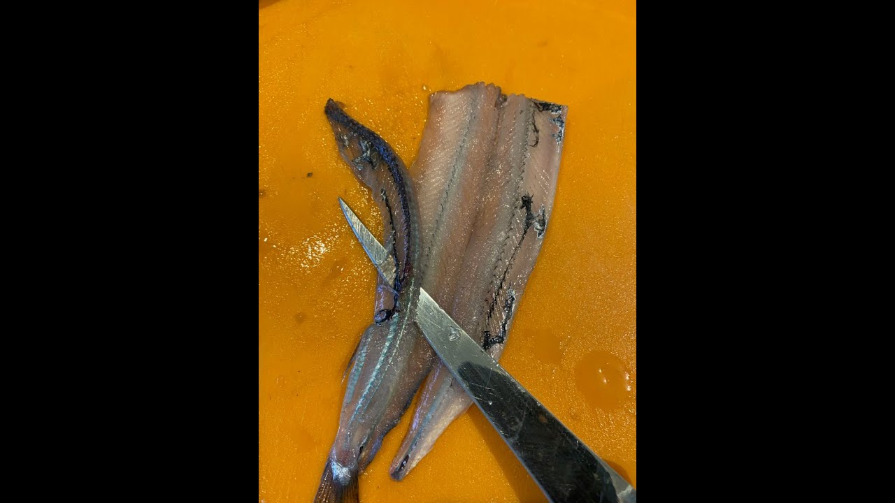 How to butterfly fillet a garfish - YouTube