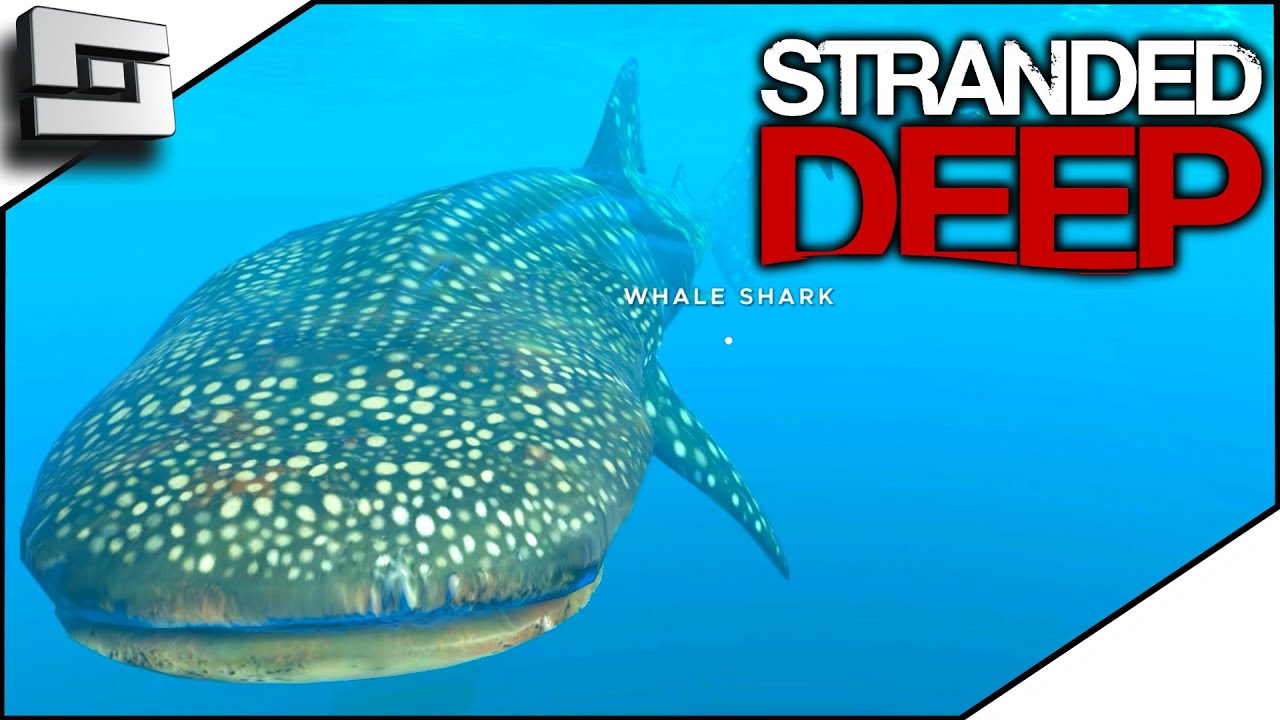 ATTACKED By A WHALE SHARK In Stranded Deep? E11 - YouTube