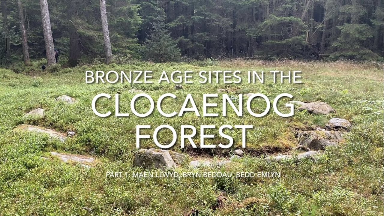 Bronze Age sites in the Clocaenog Forest Part 1: Maen Llwyd, Bryn ...