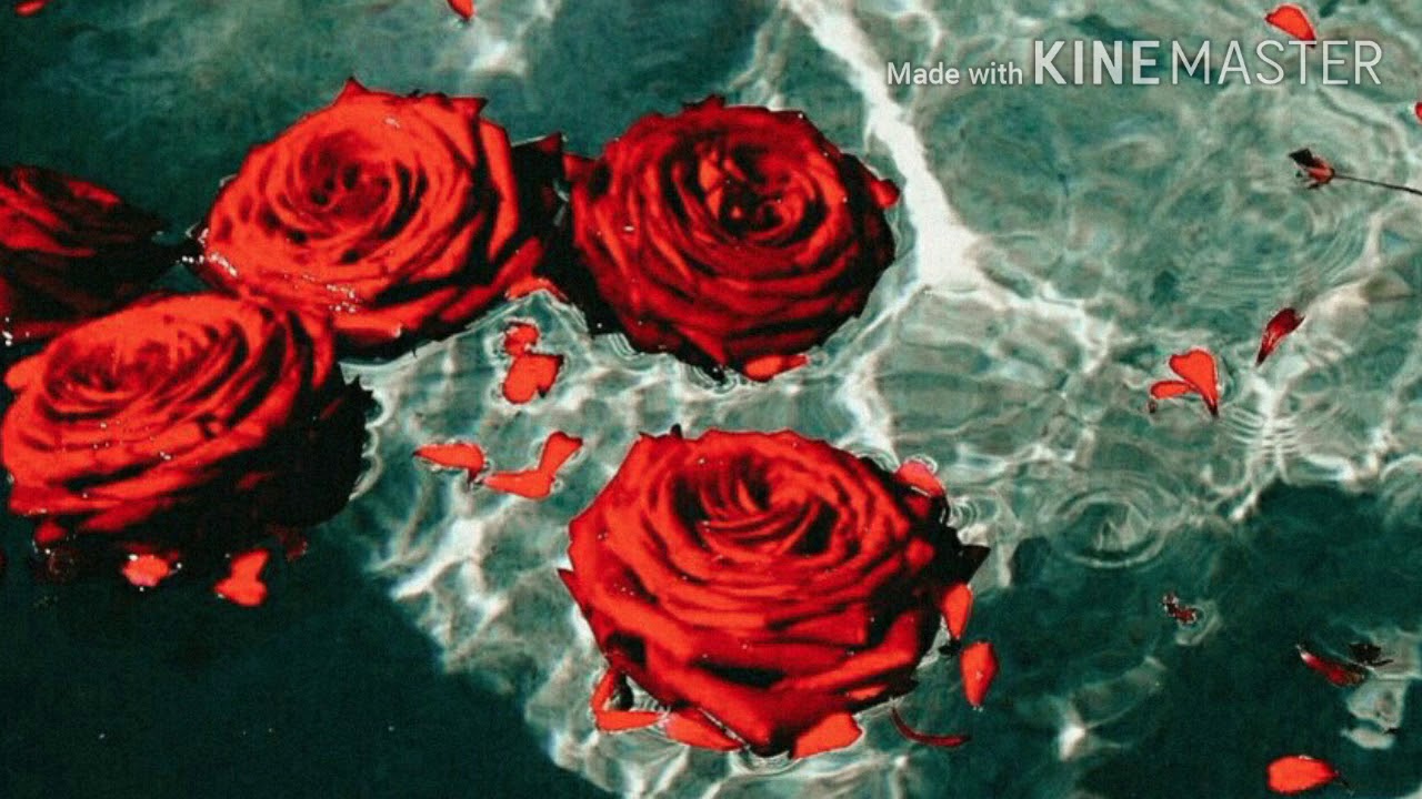 Beautiful Goodbye - Maroon 5 (Slowed) - YouTube