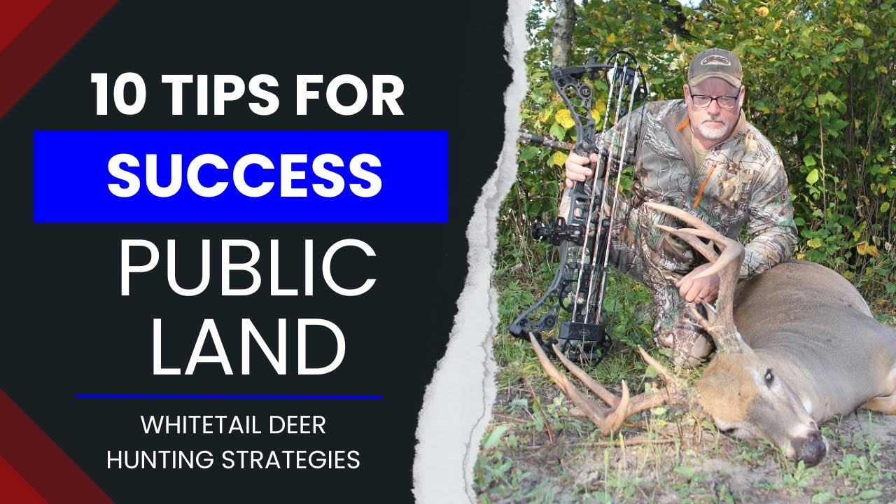 Public Land Whitetail hunting | 10 Steps to Success - YouTube