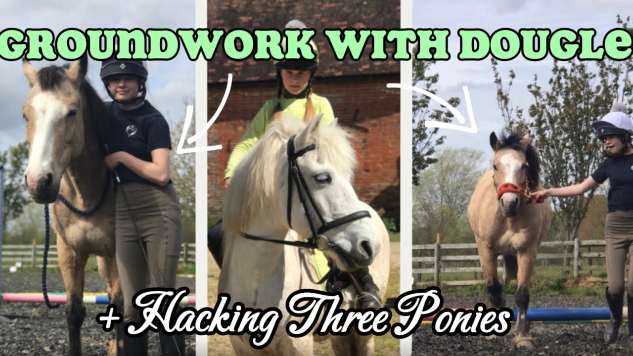 GroundWork With Dougle The Pony + Fun Hacking! - YouTube