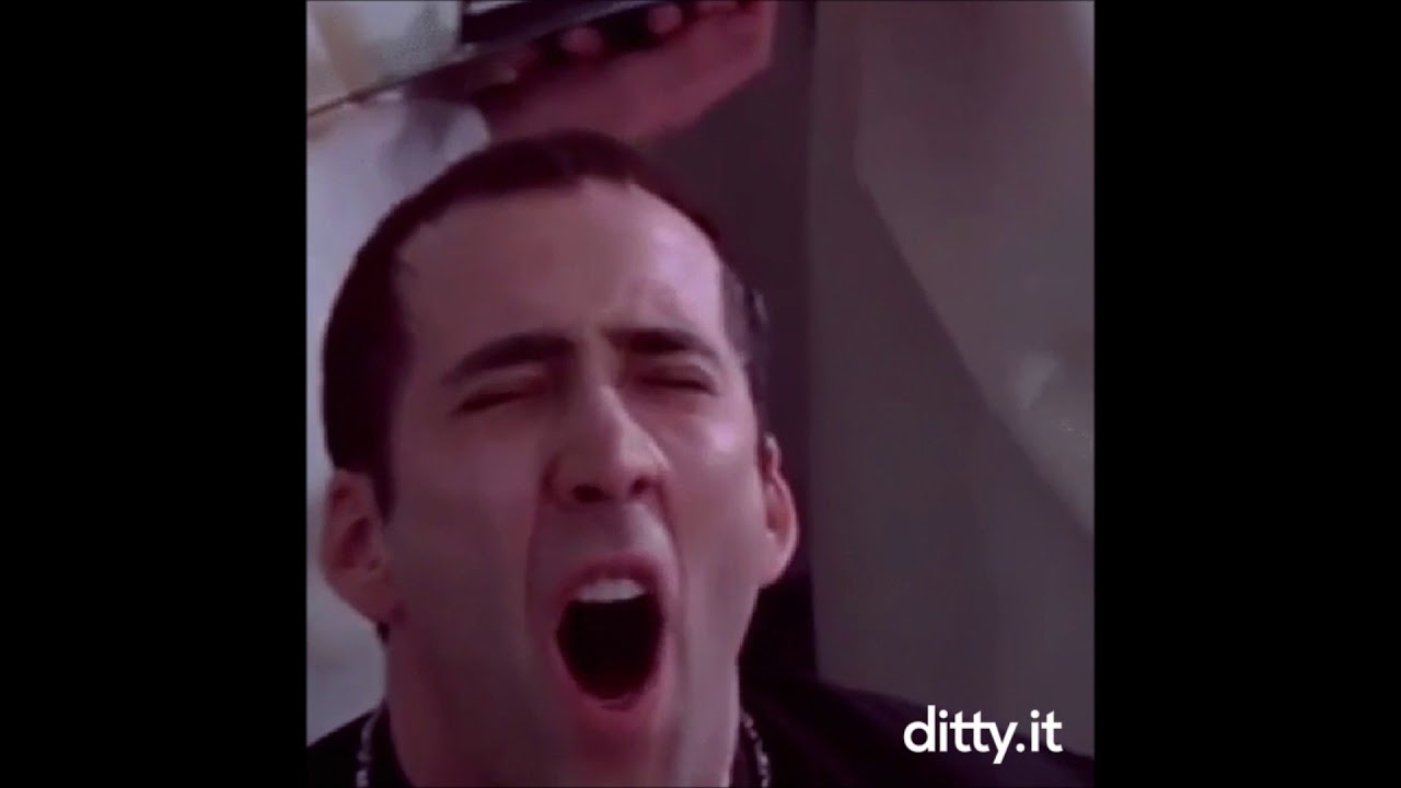 Ditty.it Compilation #2 - YouTube