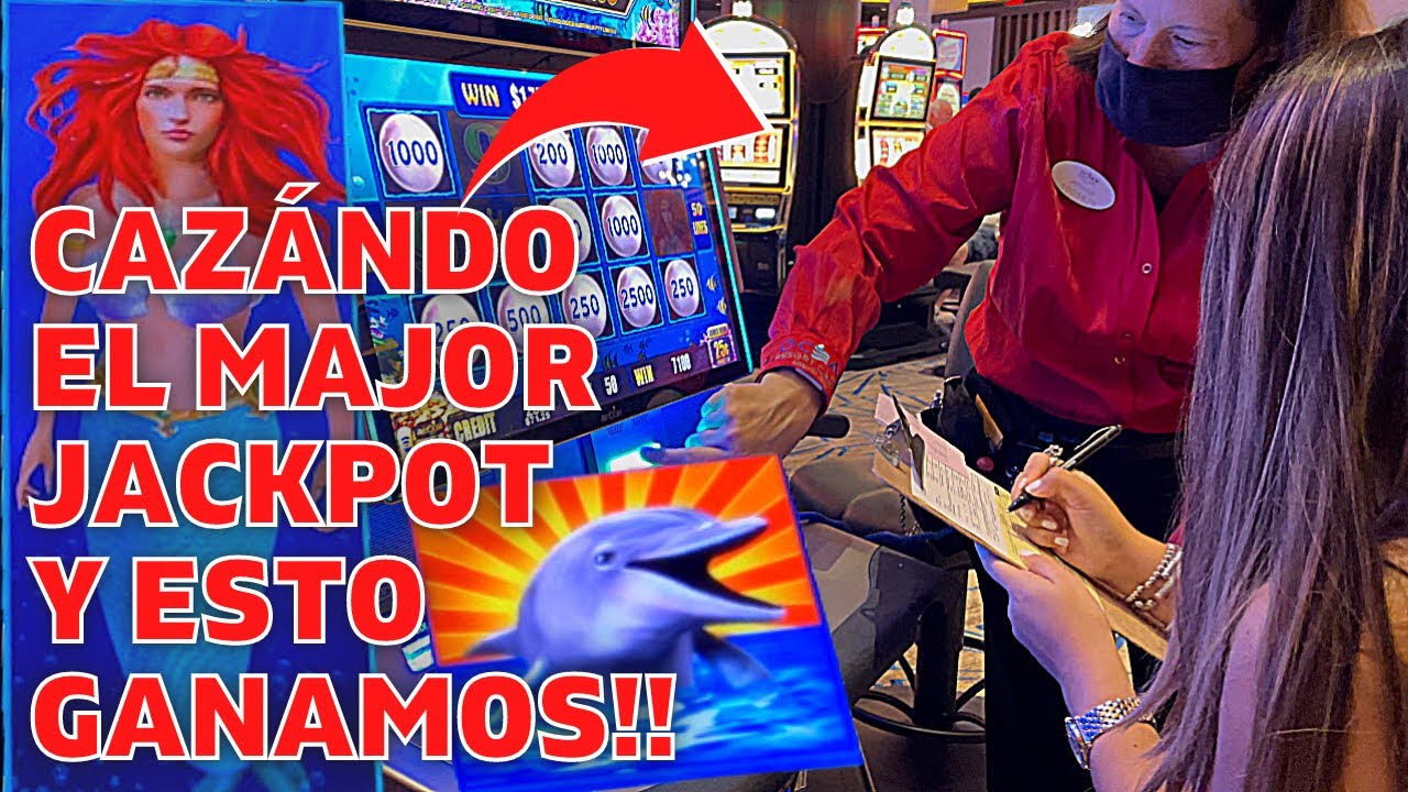 🐬CAZÁNDO EL MAJOR JACKPOT Y ESTO FUE LO QUE GANAMOS!! 🧜‍♀️ #arriesgados ...