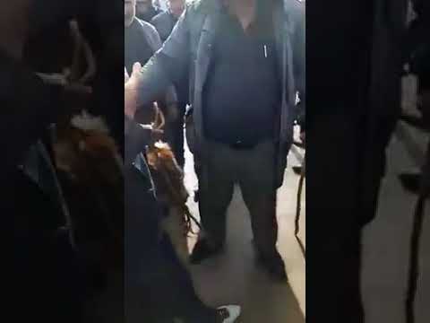 HAYVAN PAZARINDAKI DENGBÊJ - YAŞAYAN SAKIRO [2018]