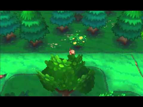 Pokemon Omega Ruby [Part 3: Route 102] - YouTube
