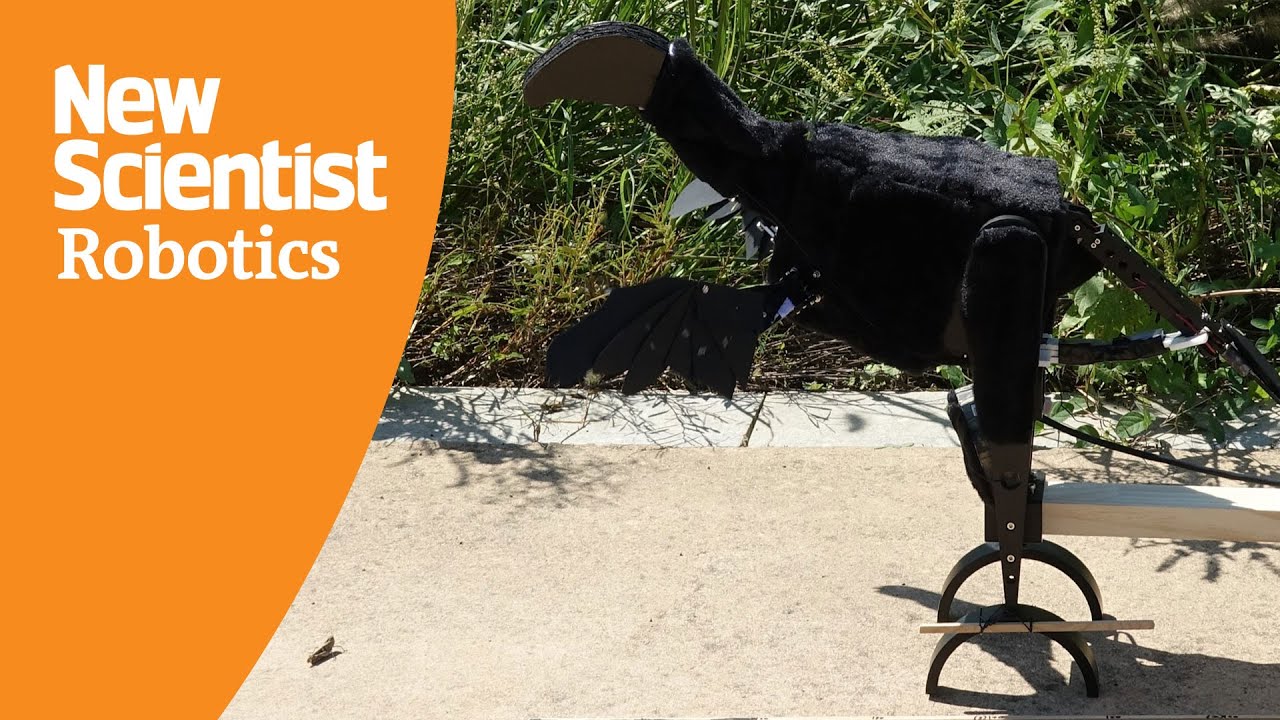 Robot dinosaur tests theory about the evolution of feathers - YouTube