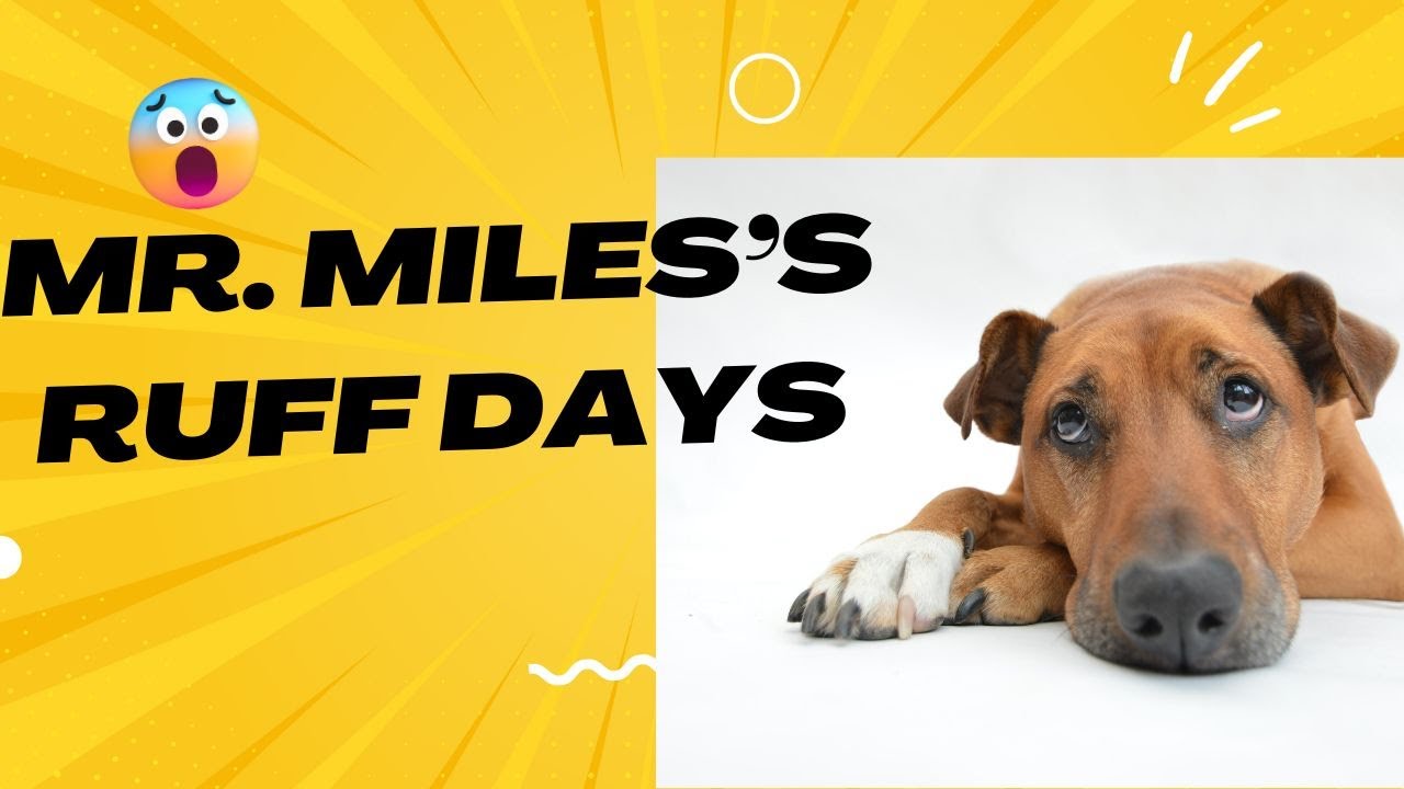 Mr. Miles' Ruff Day The Cone Chronicles - YouTube