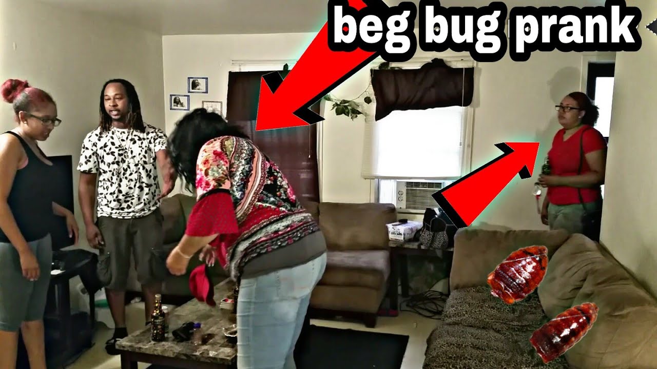 BED BUG PRANK ON COMPANY!!! (EXTREMELY FUNNY) - YouTube