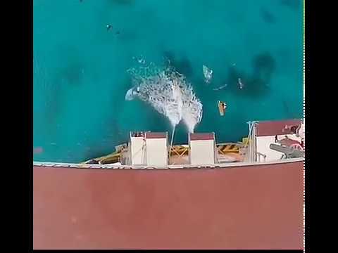 En Çılgın Suya Atlama Stillerii.!!