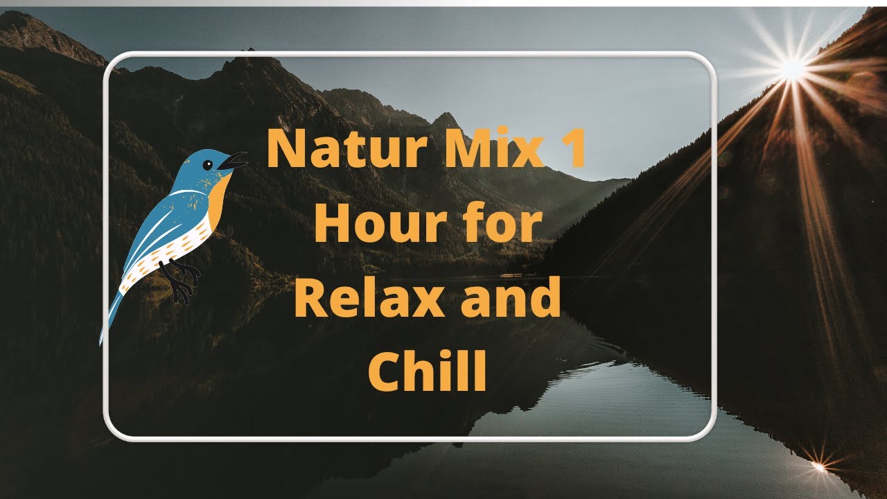 NATURE MIX 1 Hour for Relax and chill - YouTube