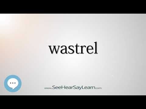 wastrel   330 Hard English Words with Definitions   SeeHearSayLearn 🔊