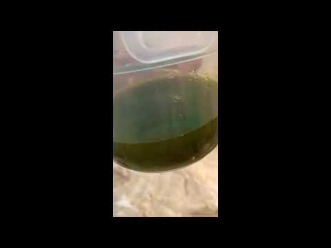 2 ingredient cannabis butter