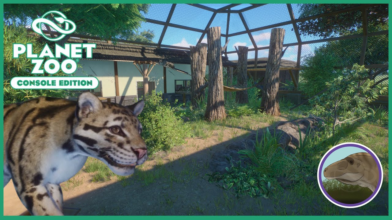 Clouded Leopard Enclosed Habitat | Silver Valley Zoo Ep. 9 | Planet Zoo ...