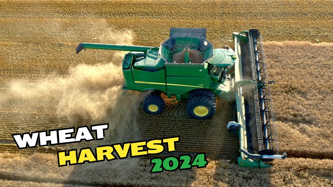 Lets Go Harvest Some Wheat!! - YouTube