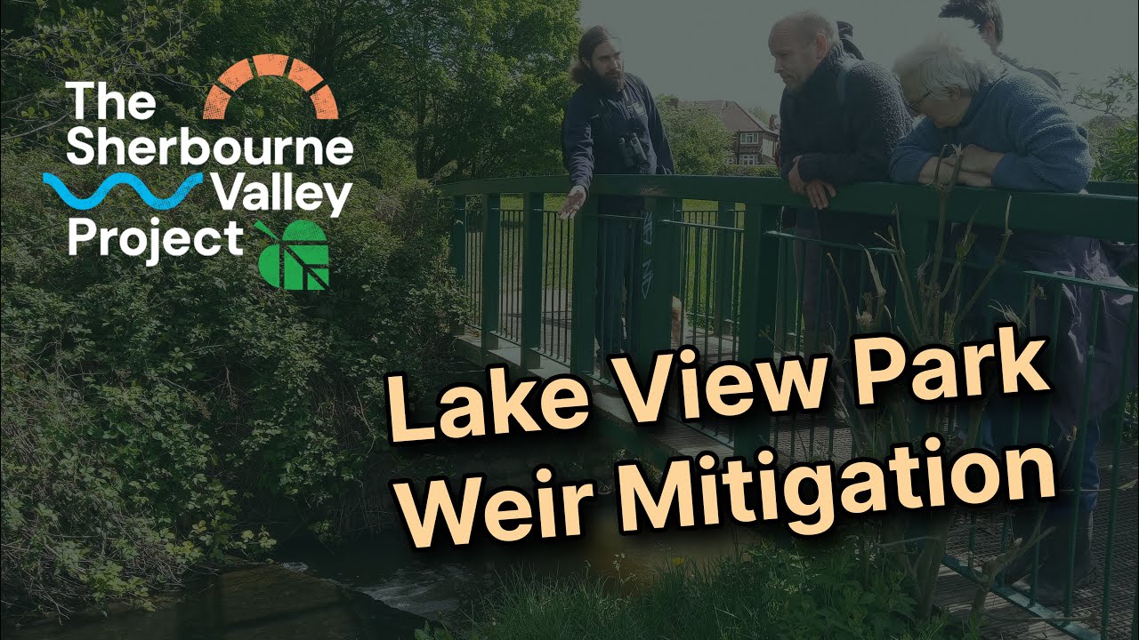 Weir Mitigation at Lake View Park Coventry - YouTube