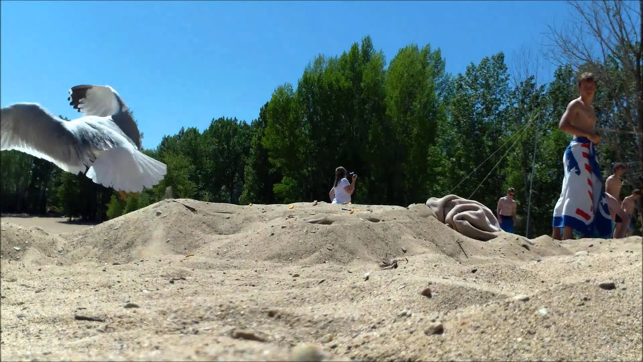 How to Catch a Seagull - YouTube