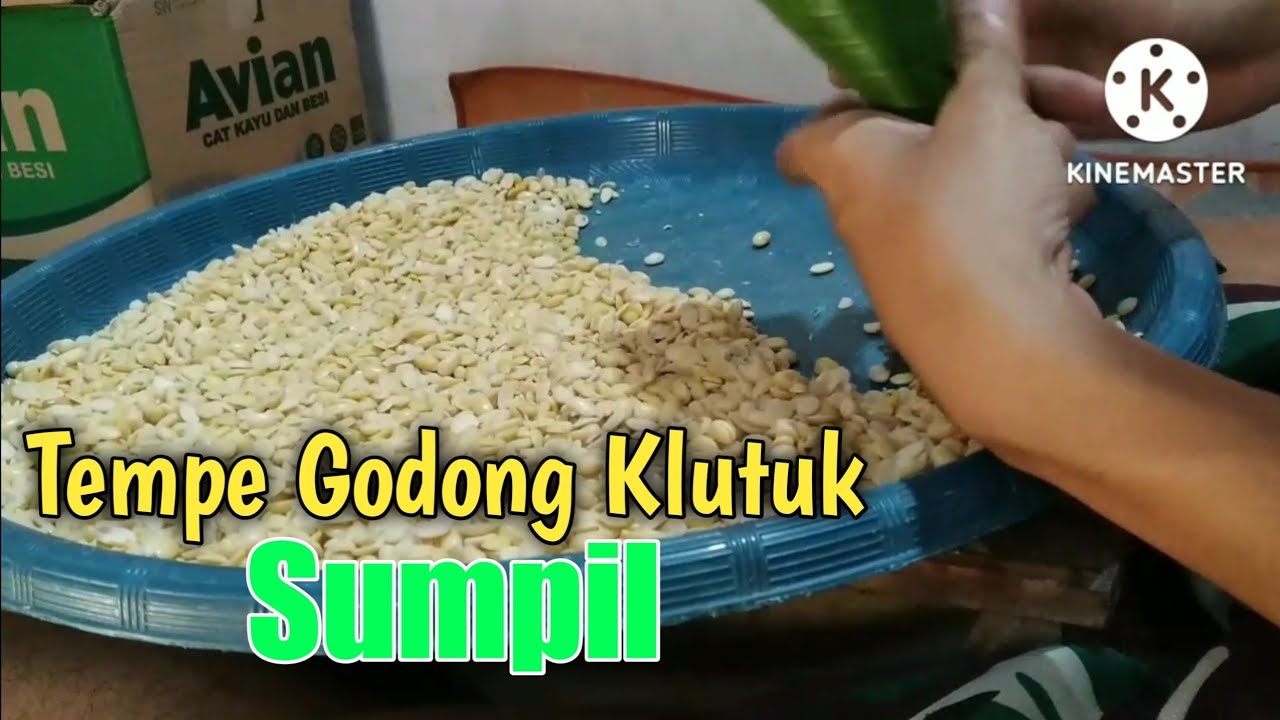 #8 Tempe Godong Klutuk Bentuk Sumpil - YouTube