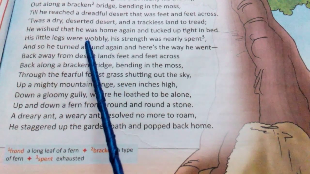 The Ant Explorer // Class VI ( Poem by C . J . Dennis ) // Part 2 - YouTube