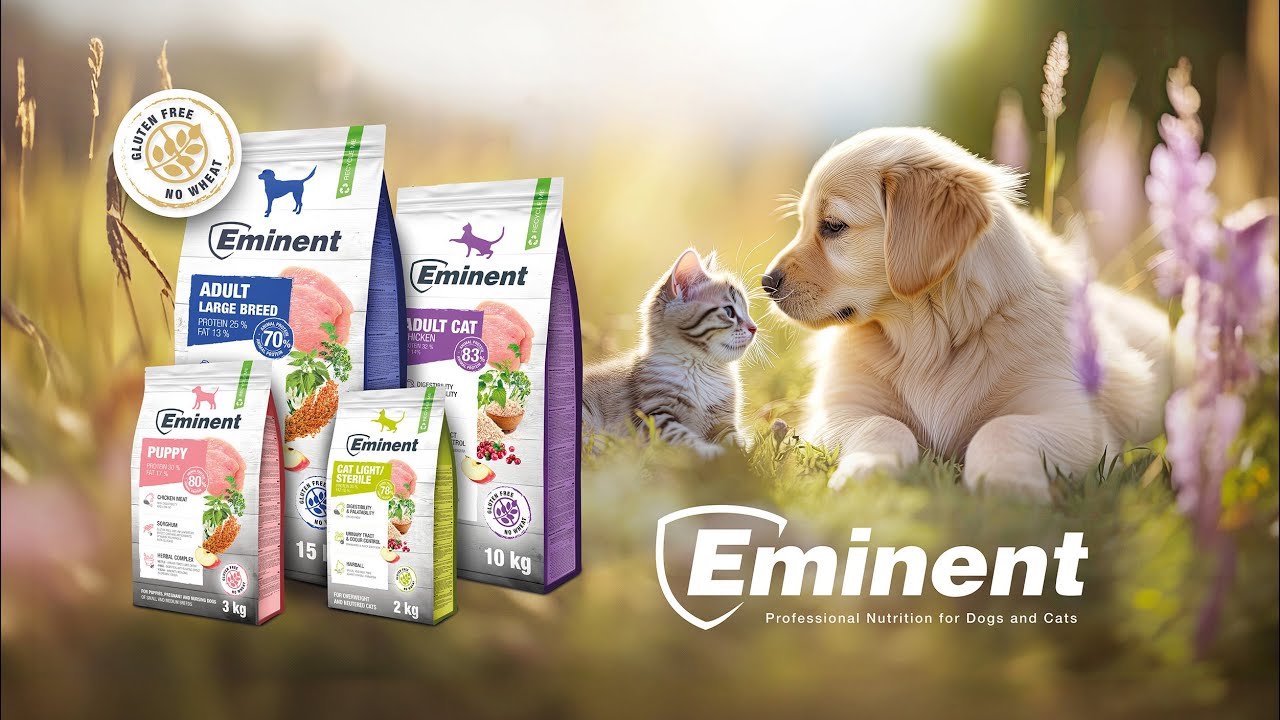 Eminent - gluten free pet food for dogs and cats - YouTube