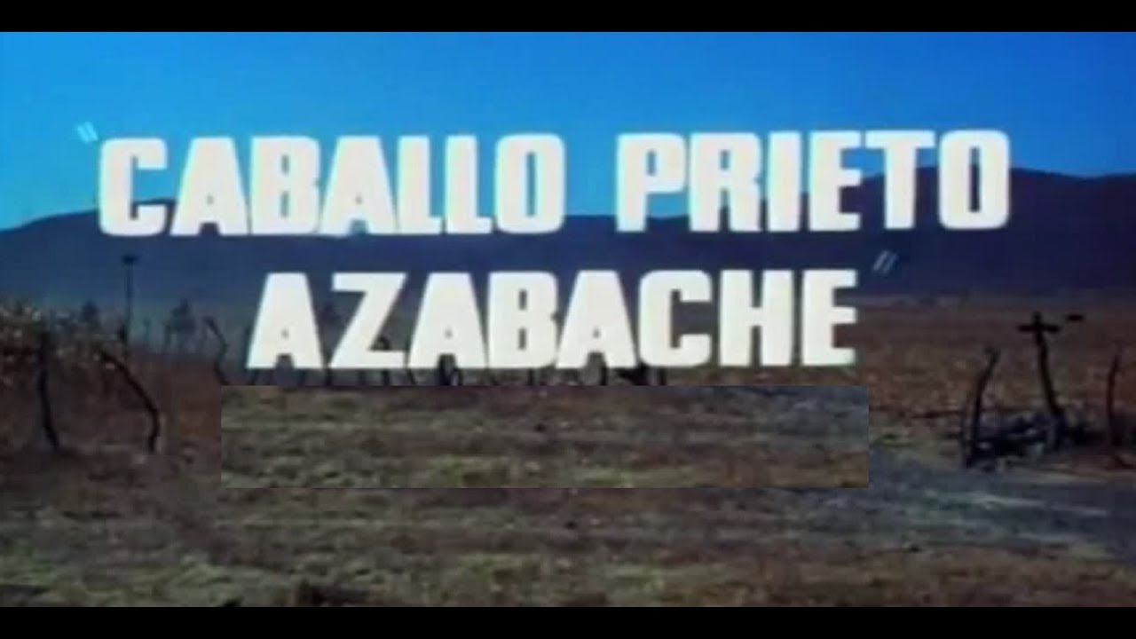 Caballo Prieto Azabache - YouTube