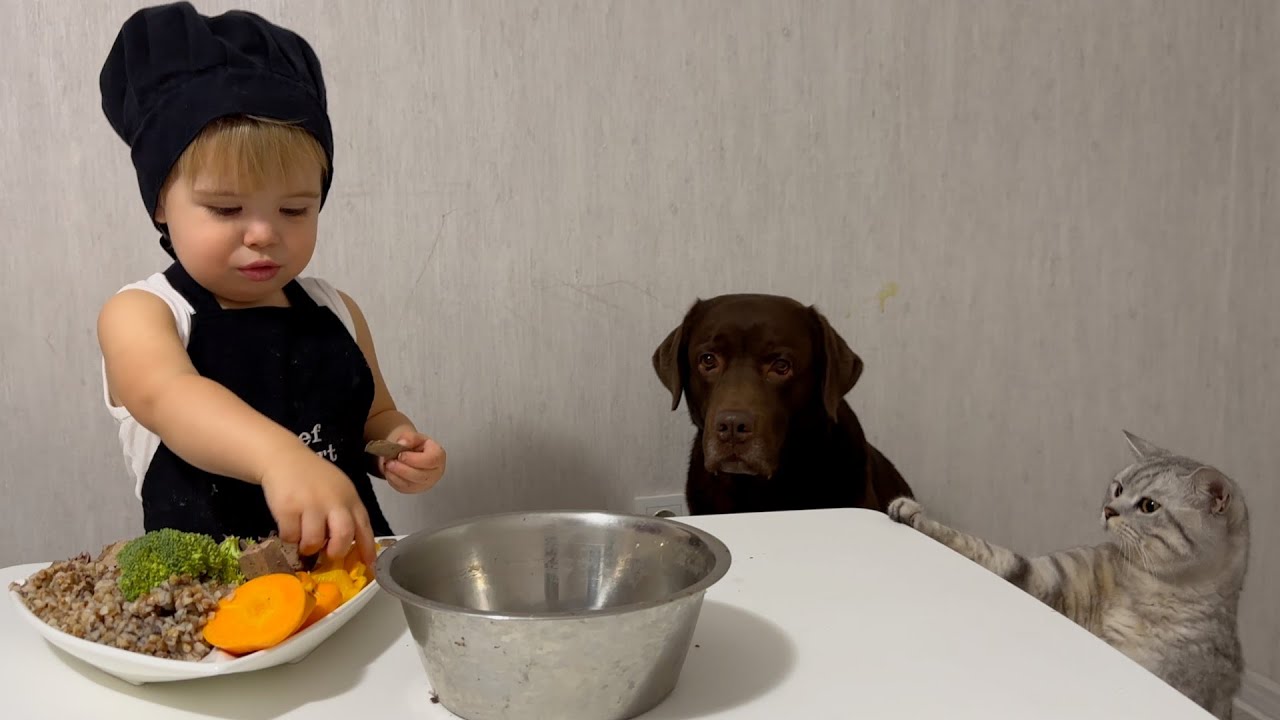 Baby Chef's Secret Recipe to Feed his Hungry Friends! - YouTube