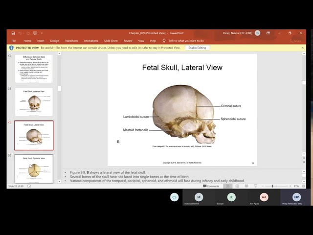 Chapter 9 Head And Neck Anatomy Head And Neck Anatomy: Structures,