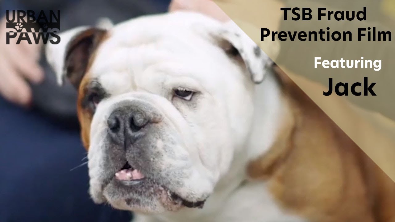 TSB Fraud Prevention Film featuring Jack - YouTube