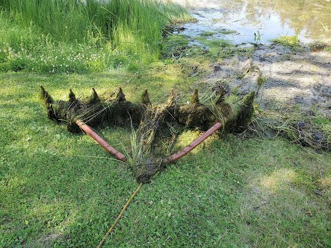 Pond weed removal - YouTube
