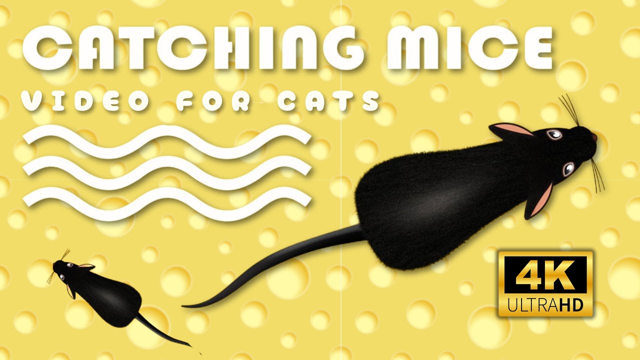 CAT GAMES Catching Mice! Entertainment Video for Cats to Watch CAT ...