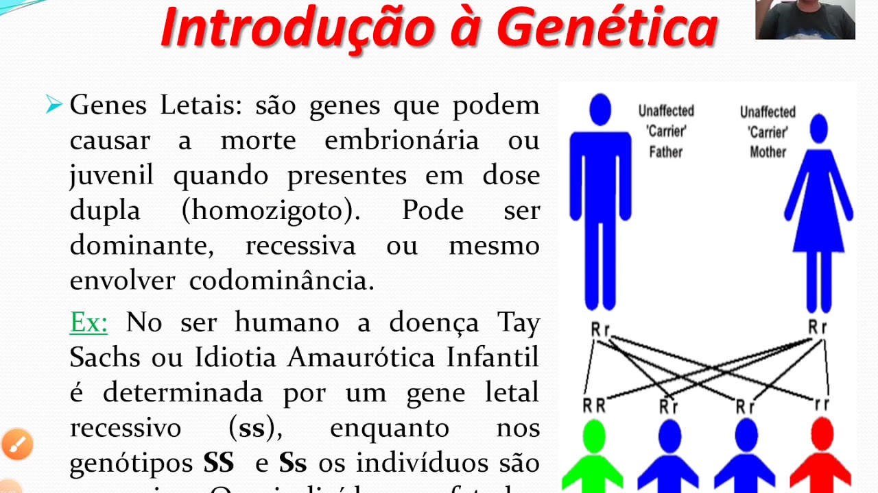 Codominância, Dominância Incompleta e Genes Letais - YouTube