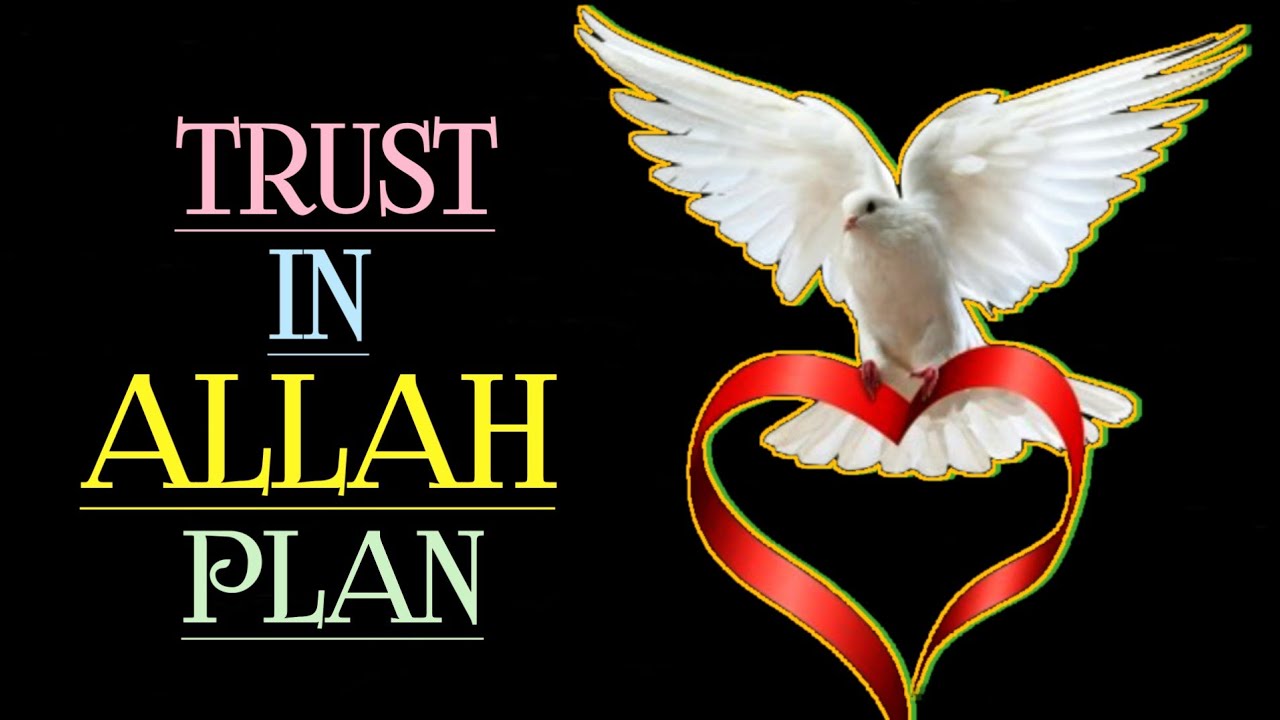 TRUST IN ALLAH'S PLAN | TRUST IN ALLAH - YouTube