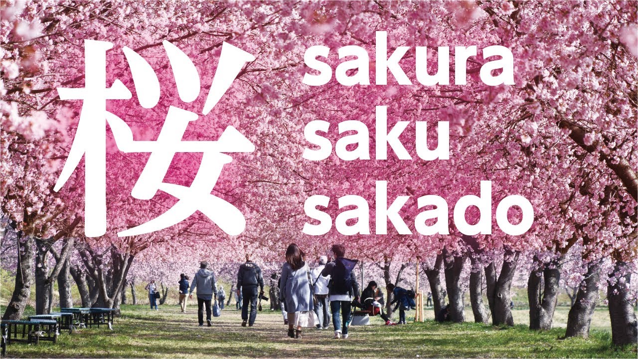 Sakura Saku Sakado 坂戸の桜 - YouTube