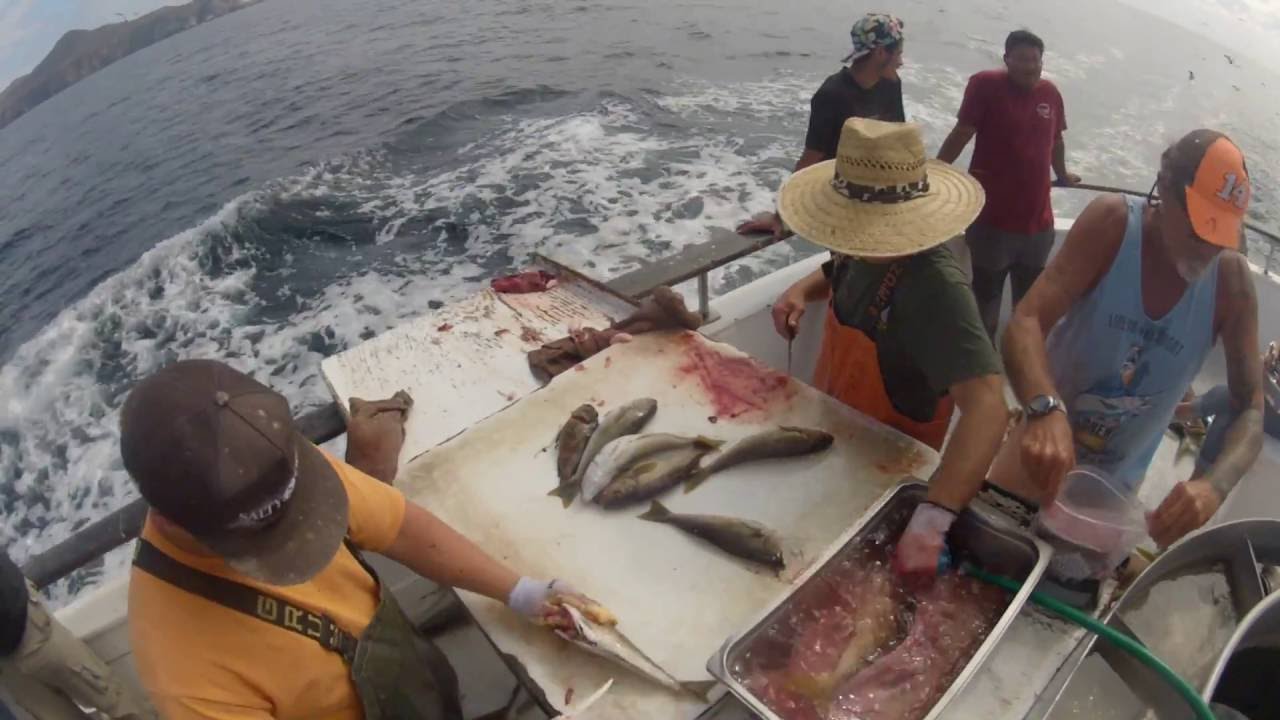 Deep Sea Fishing - California - YouTube