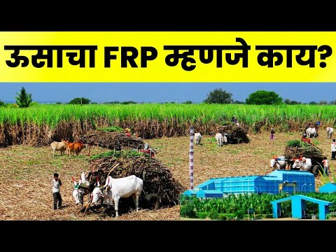 ऊसाचा एफ.आर.पी.म्हणजे काय? | What is FRP of sugarcane? | Full form of ...