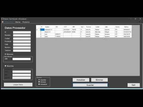 TP Final - Programacion 3 - CRUD Windows Forms - YouTube