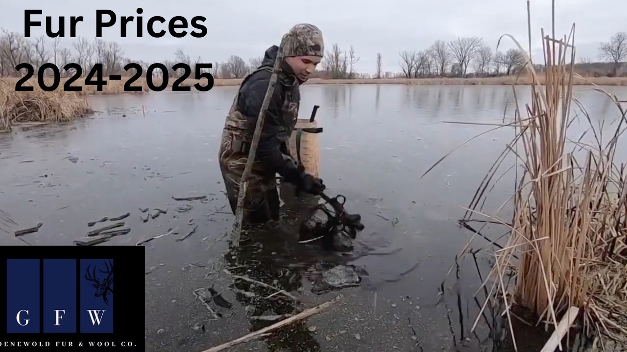 GFW Fur Prices 2024-2025 Fur Market @GFWmarket - YouTube