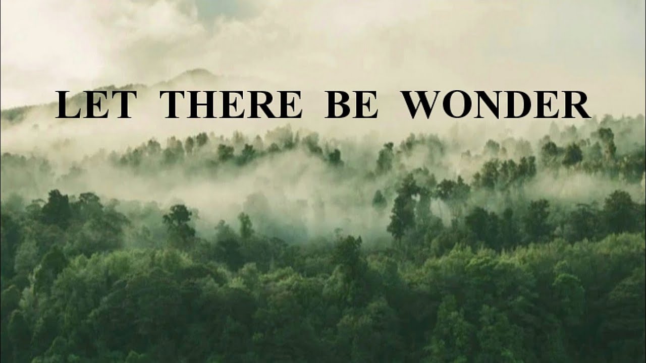 Cory Voss & Madison Street Worship - Let There Be Wonder (Lyric Video ...
