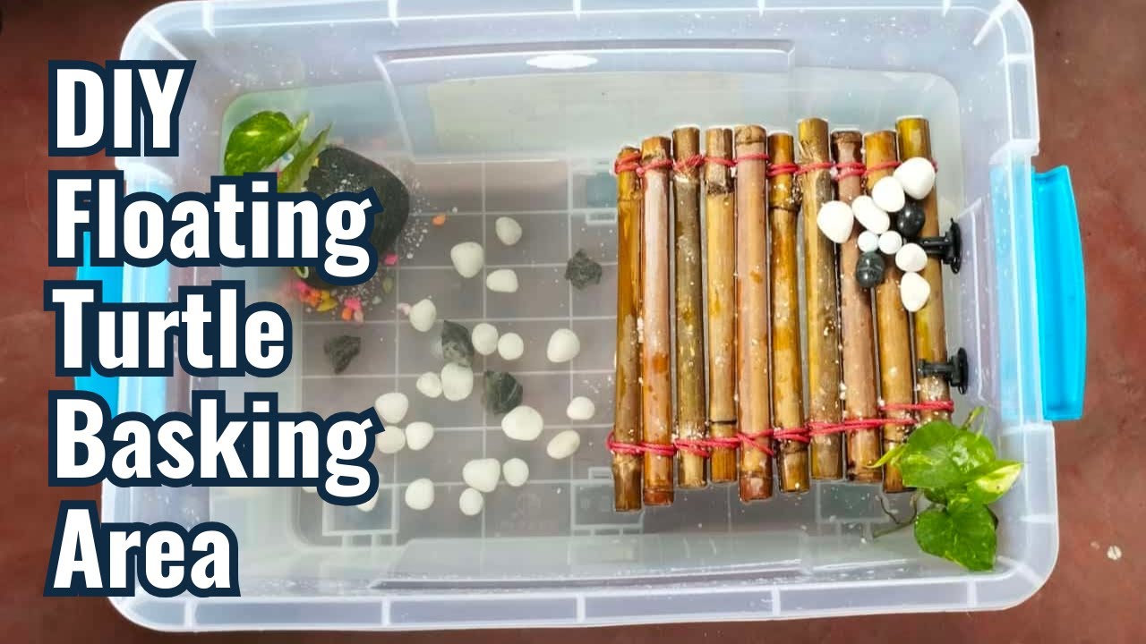 DIY Floating Turtle Basking Area - YouTube