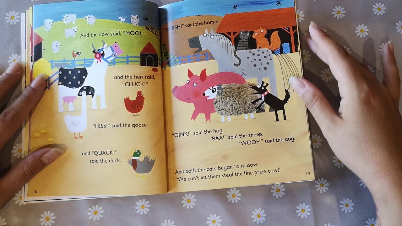 What The Ladybird Heard 🐞 | Story Book Read Aloud For Kids - YouTube