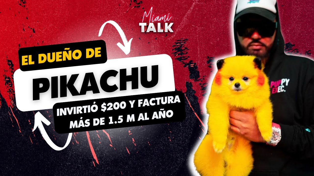 Pikachu, el PERRITO 🐶más famoso de las redes sociales.🔥🔥🔥 - YouTube