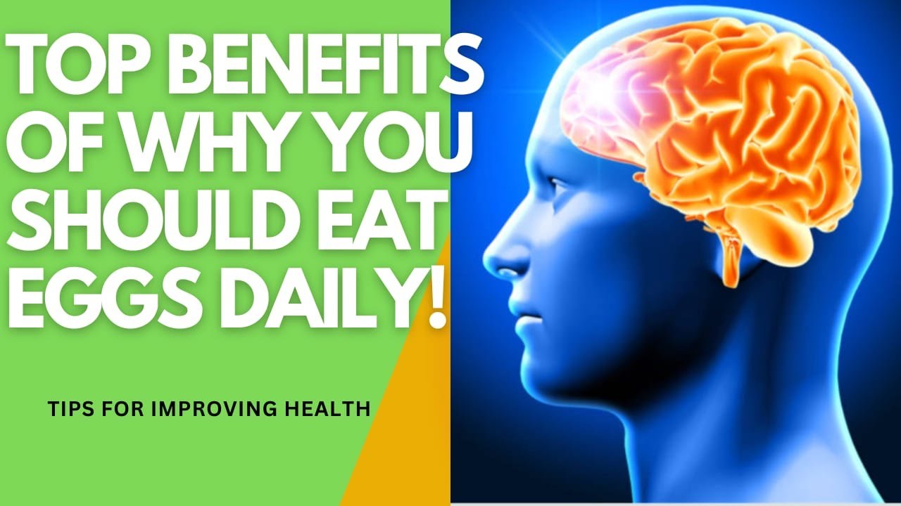 Ideal Daily Intake Amount of Eggs Your Body Needs: Unveiling the ...
