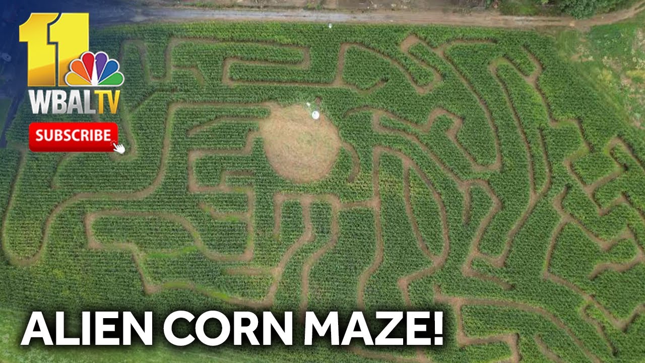 Alien themed corn maze unveiled in New Windsor - YouTube