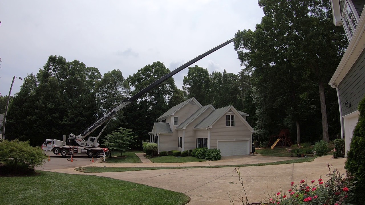 JD Tree Blasters - YouTube