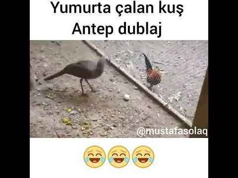 Çok komik dublajlar