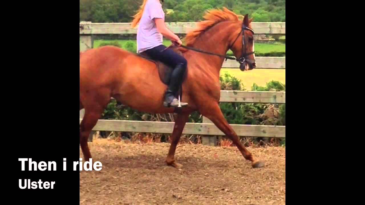 Day in the life of Lexi |just a girl and her ponies - YouTube