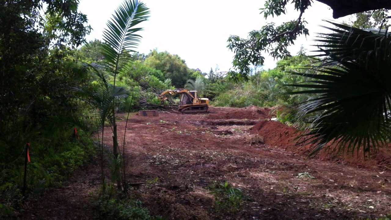 Stacking trees - YouTube