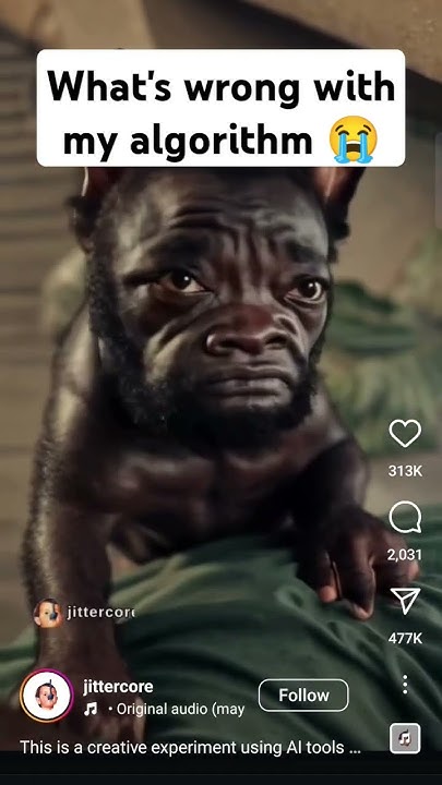 What's wrong with my algorithm 😭 #memes #algorithm #shorts - YouTube